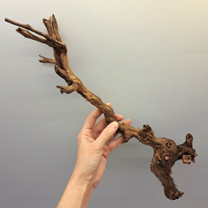 Grapewood Branch - Etsy