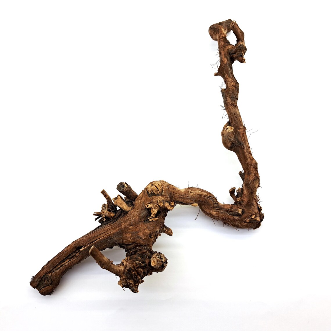 Thin Grapewood Branch, Natural Wood Terrarium Decor, Dry Grapevine ...
