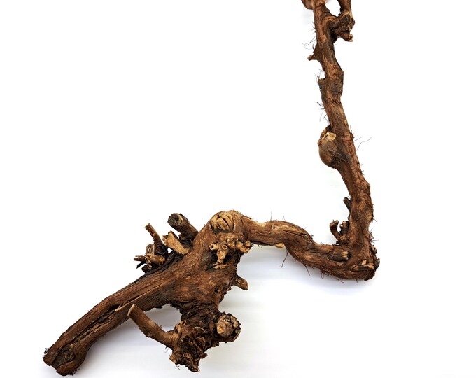 Real Grapevine Branch, DIY Terrarium Decoration, Natural Wood Branch ...