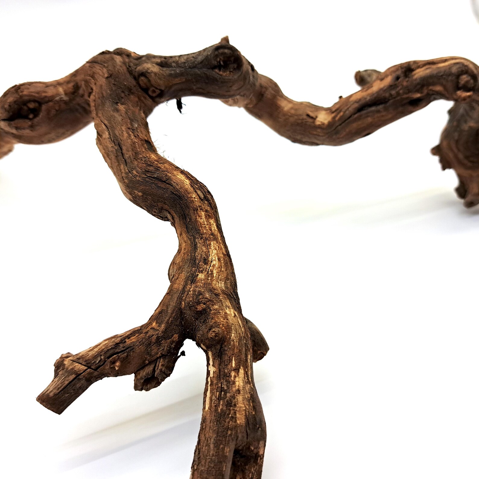 Grapewood Branch Big, Vine Wood Branch, Large Grapewood Piece ...