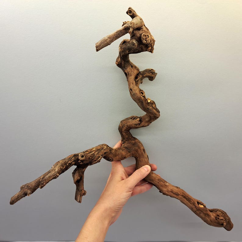 Grapewood Branch Big, Vine Wood Branch, Large Grapewood Piece ...