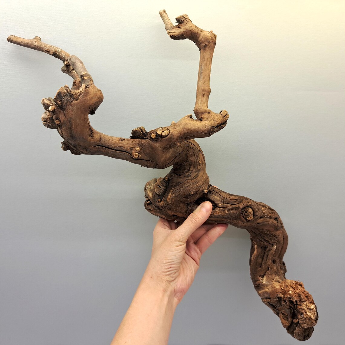 Large Natural Wood Branch, Terrarium Decor Natural, Vine Wood Branch ...