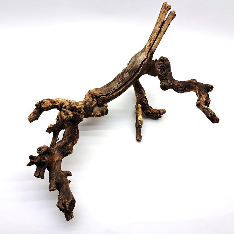 Grapewood Branch - Etsy