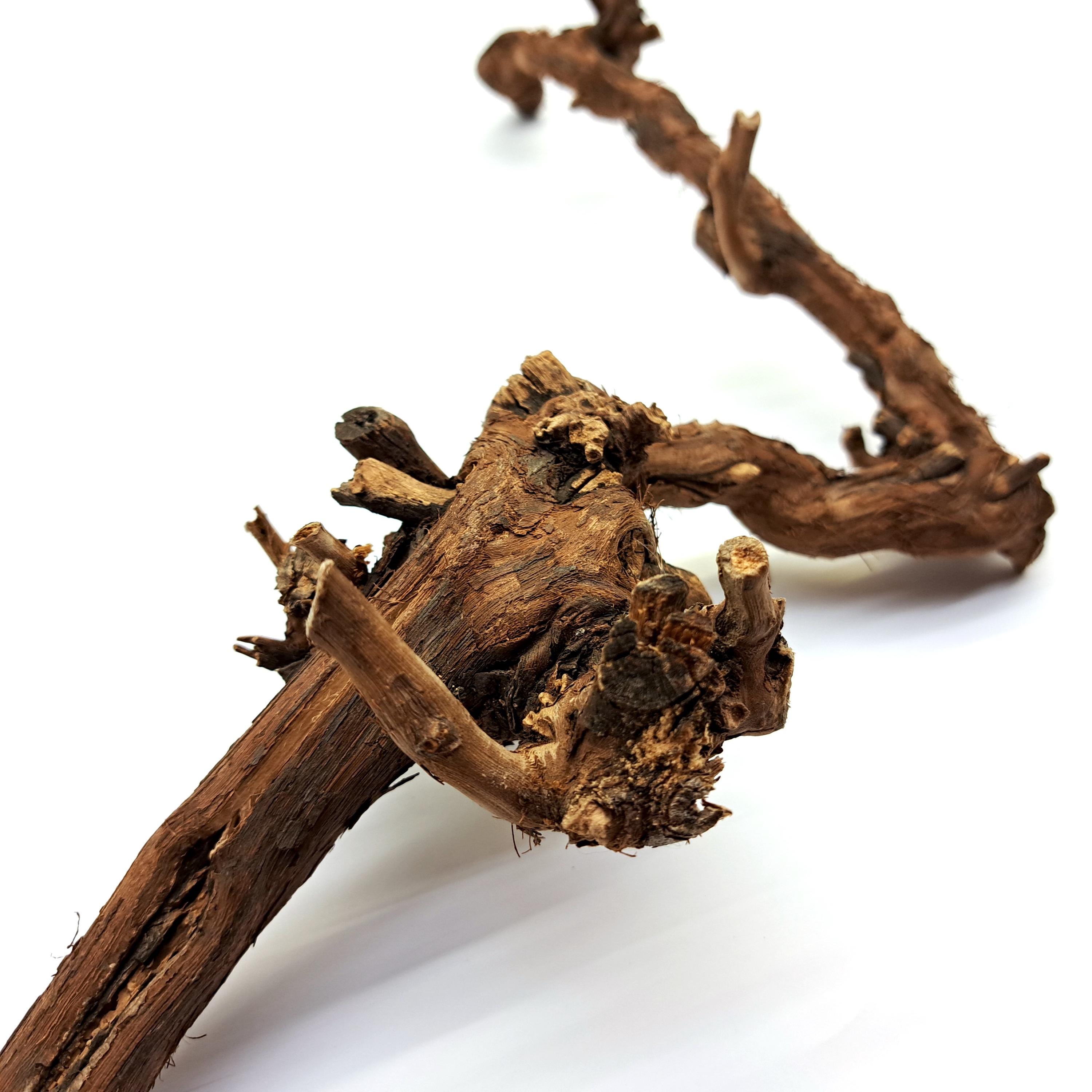 Thin Grapewood Branch, Natural Wood Terrarium Decor, Dry Grapevine ...