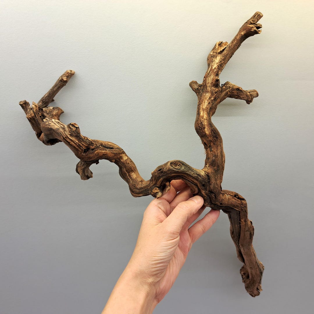 Grapewood Branch Big, Vine Wood Branch, Large Grapewood Piece ...