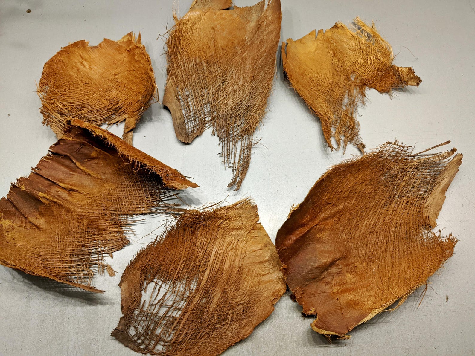 Palm Bark Fiber, Dried Palm Bark, Natural Palm Bark, Bark Pieces for ...