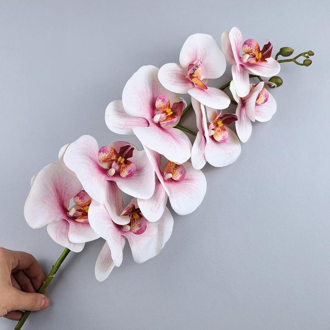 Real Touch White Orchid for Wedding Decor, Orchid Flower Long Stem ...
