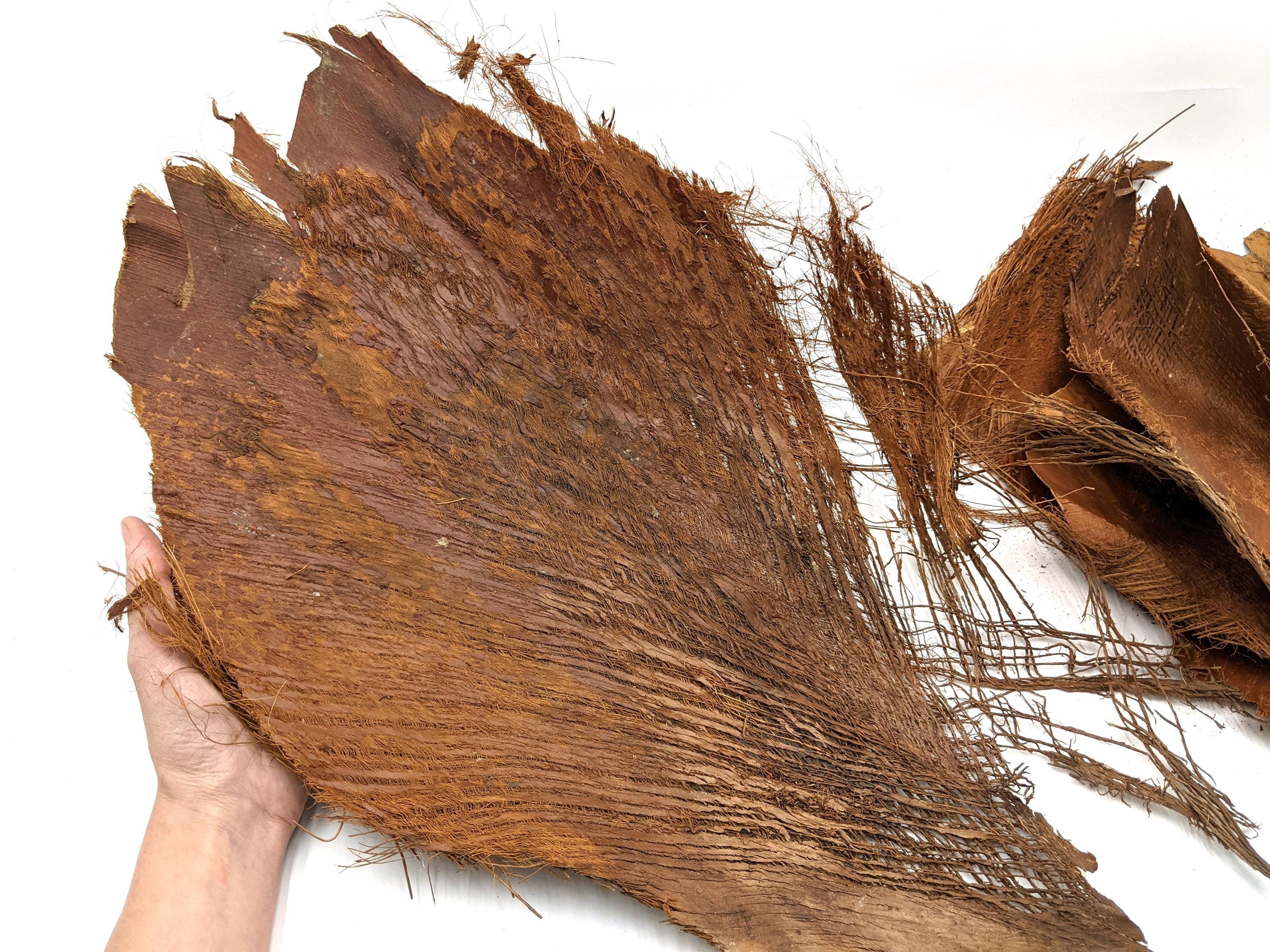 Palm Bark Fiber, Dried Palm Bark, Natural Palm Bark, Bark Pieces for ...