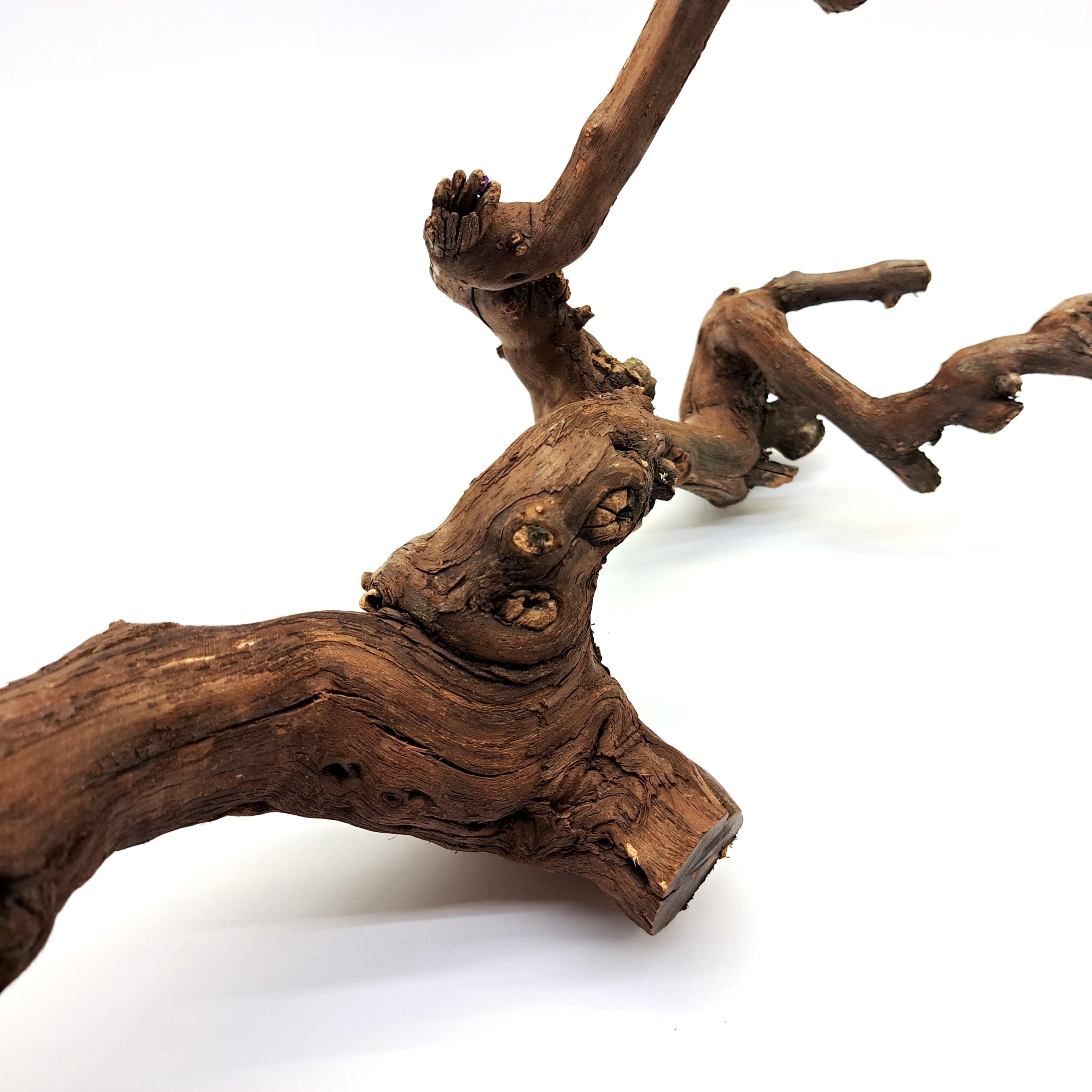 Large Natural Wood Branch, Terrarium Decor Natural, Vine Wood Branch ...