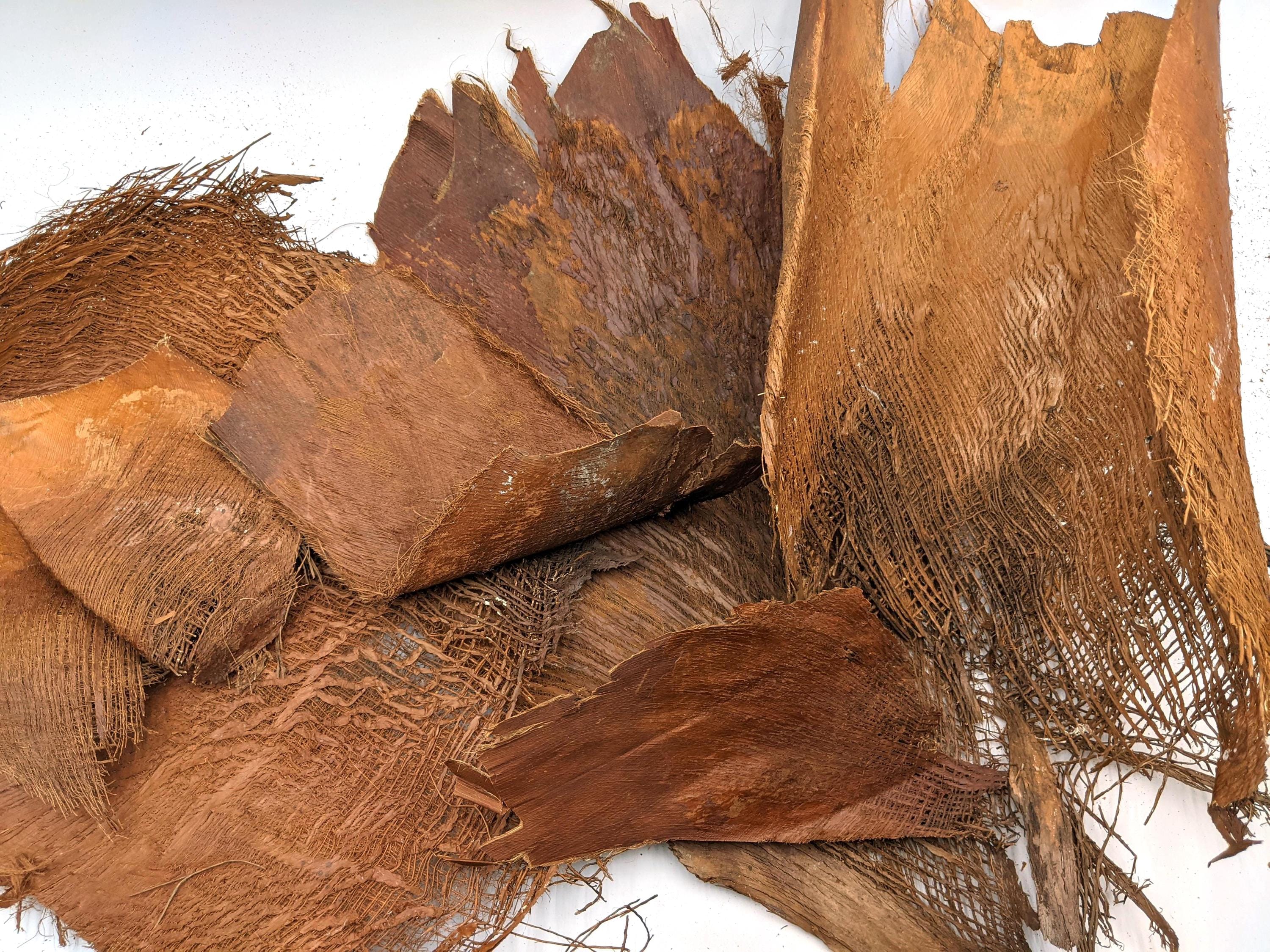 Palm Bark Fiber, Dried Palm Bark, Natural Palm Bark, Bark Pieces for ...