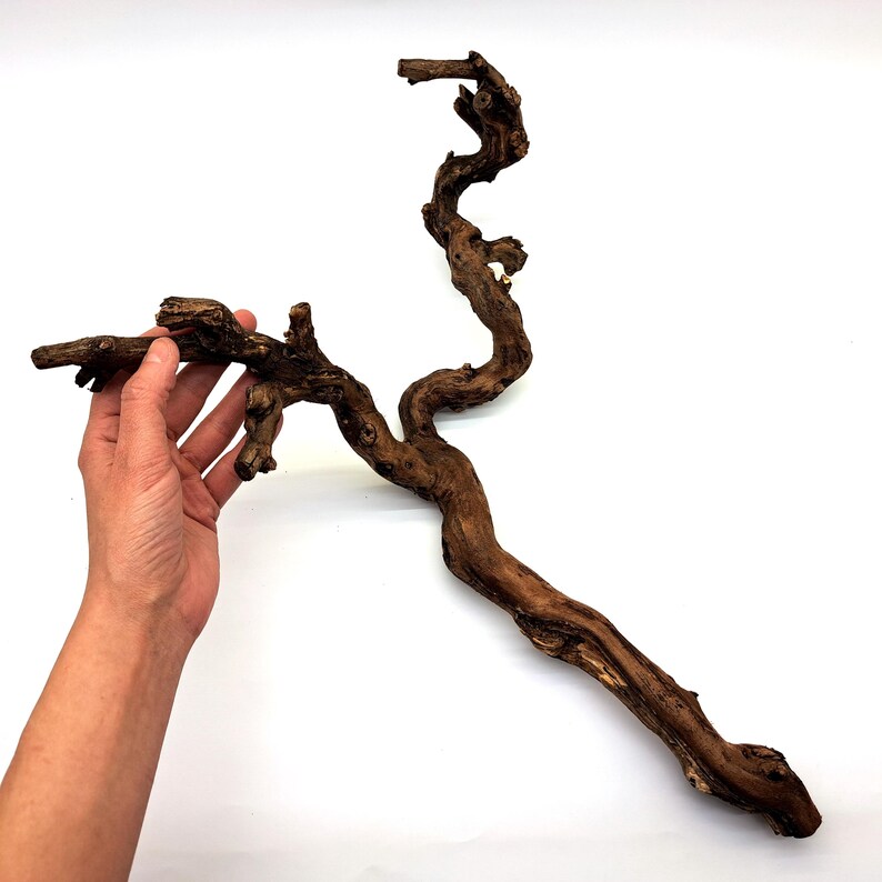 Grapewood Branch Big, Vine Wood Branch, Large Grapewood Piece ...