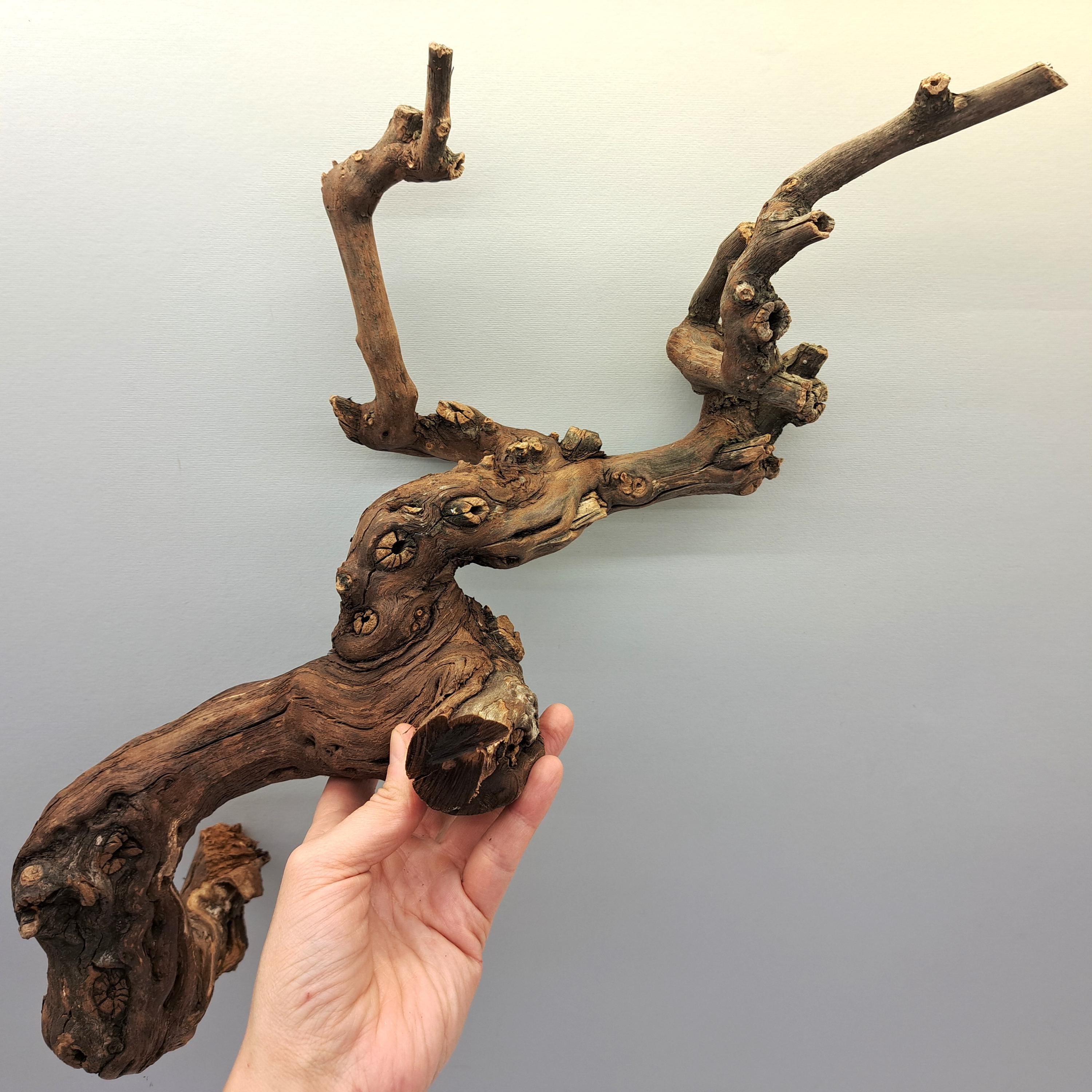 Large Natural Wood Branch, Terrarium Decor Natural, Vine Wood Branch ...