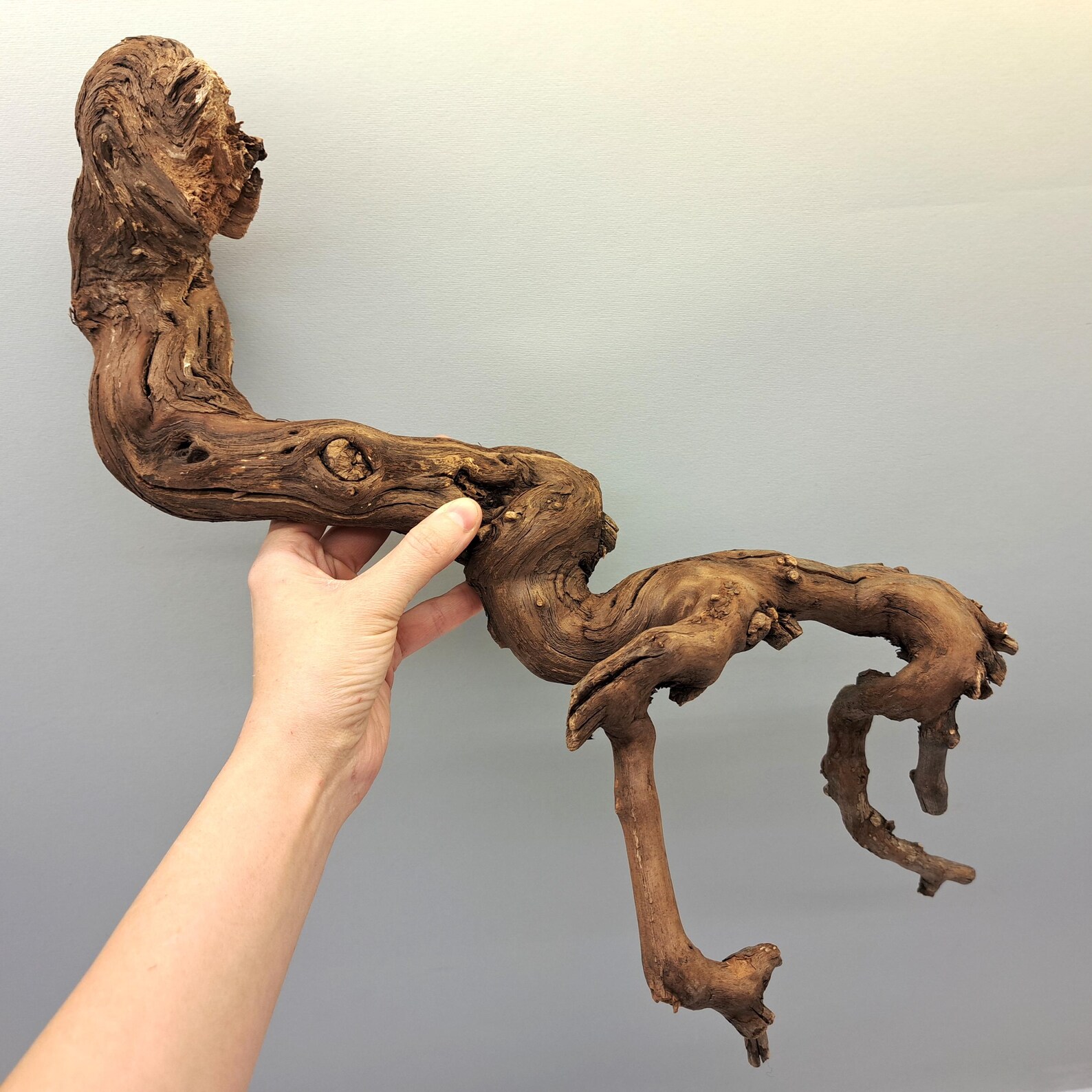 Large Natural Wood Branch, Terrarium Decor Natural, Vine Wood Branch ...