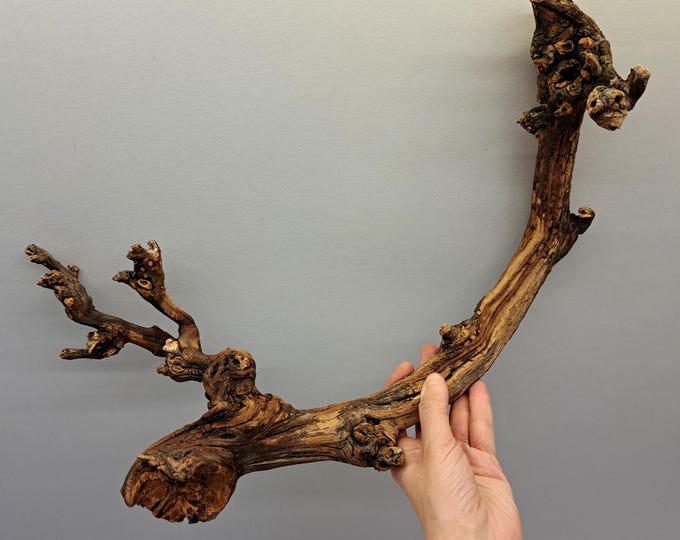 Terrarium Branch Large Decor, Plants for Terrarium, Vivarium Branch ...