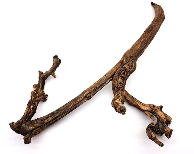 Real Grapevine Branch, DIY Terrarium Decoration, Natural Wood Branch ...