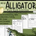 Alligator Themed Word Activities | 1st – 3rd | Homeschool | Printable ...