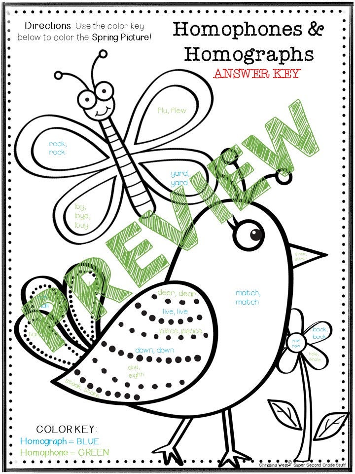 Homophones and Homographs Activities | 1st – 4th | Spring Theme ...