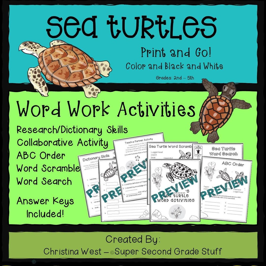 Sea Turtle Word Activities 1st 4th Homeschool Word Search ABC Order ...