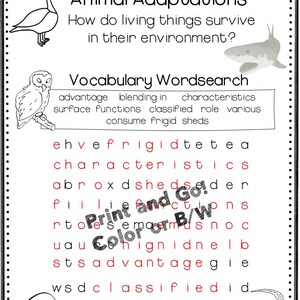 Benchmark Advance Aligned | 3rd Grade Units 1 - 5: Activities for Kick ...