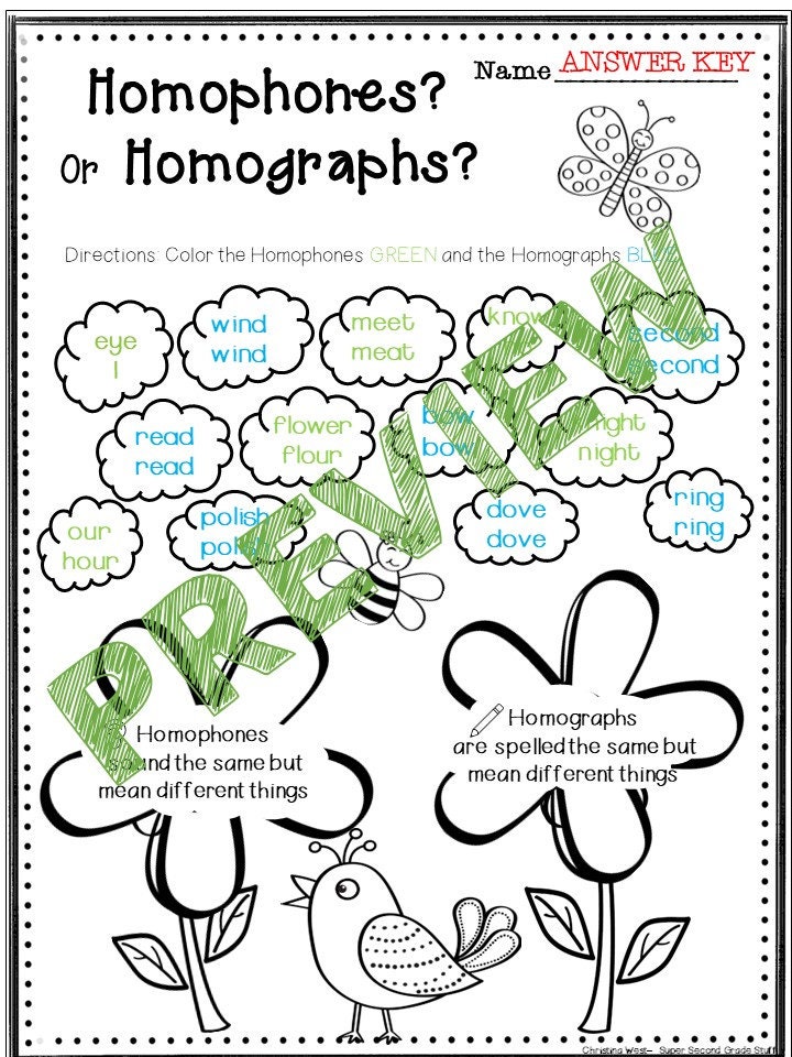 Homophones and Homographs Activities | 1st – 4th | Spring Theme ...