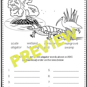Alligator Themed Word Activities 1st 3rd Homeschool Printable ...