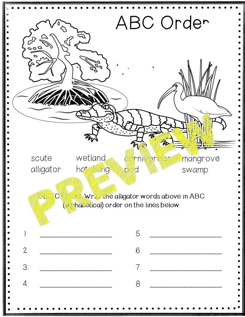 Alligator Themed Word Activities | 1st – 3rd | Homeschool | Printable ...
