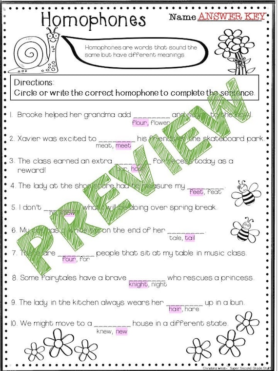 Homophones Worksheet 4th Grade Grade 3 Homophones And Homographs