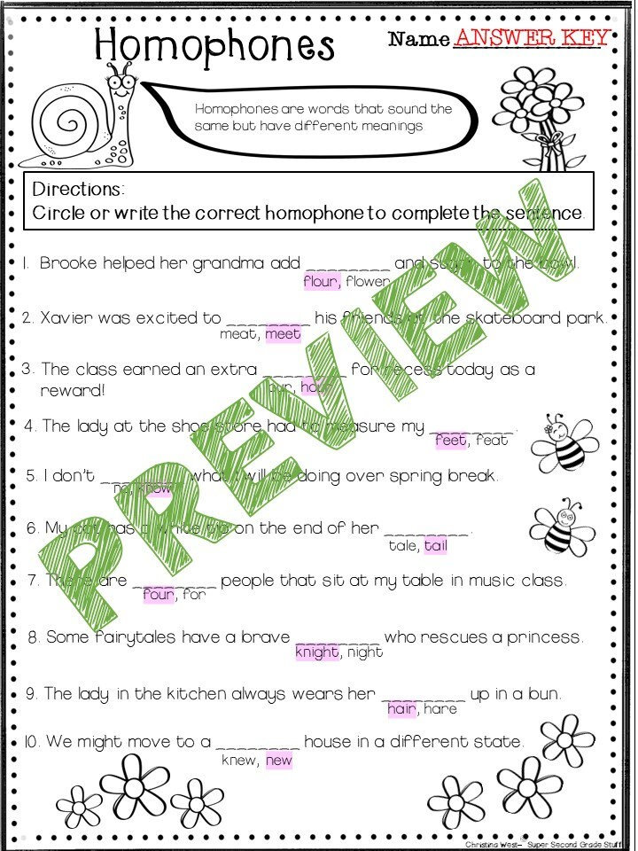 Homophones and Homographs Activities | 1st – 4th | Spring Theme ...
