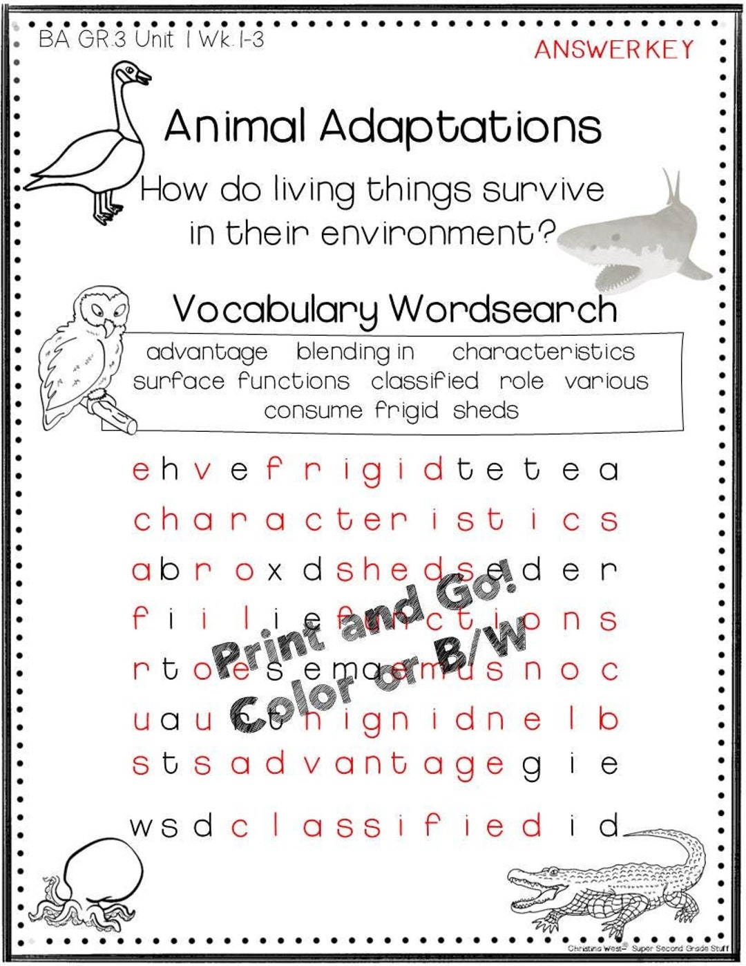 Benchmark Advance Aligned | 3rd Grade Unit 1: Activity for Kick off Day ...