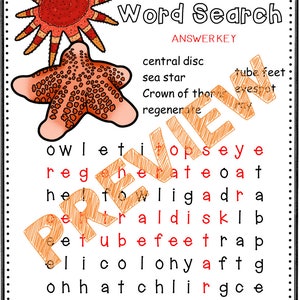 Starfish Themed Word Activities 1st 3rd Homeschool Printable Worksheets ...