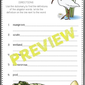 Alligator Themed Word Activities 1st 3rd Homeschool Printable ...