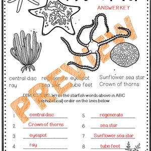 Starfish Themed Word Activities | 1st – 3rd | Homeschool | Printable ...