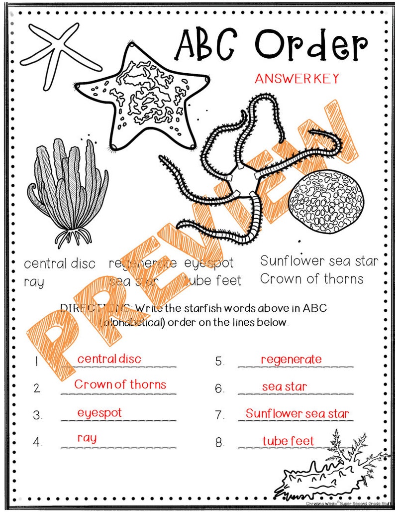 Starfish Themed Word Activities 1st 3rd Homeschool Printable Worksheets ...