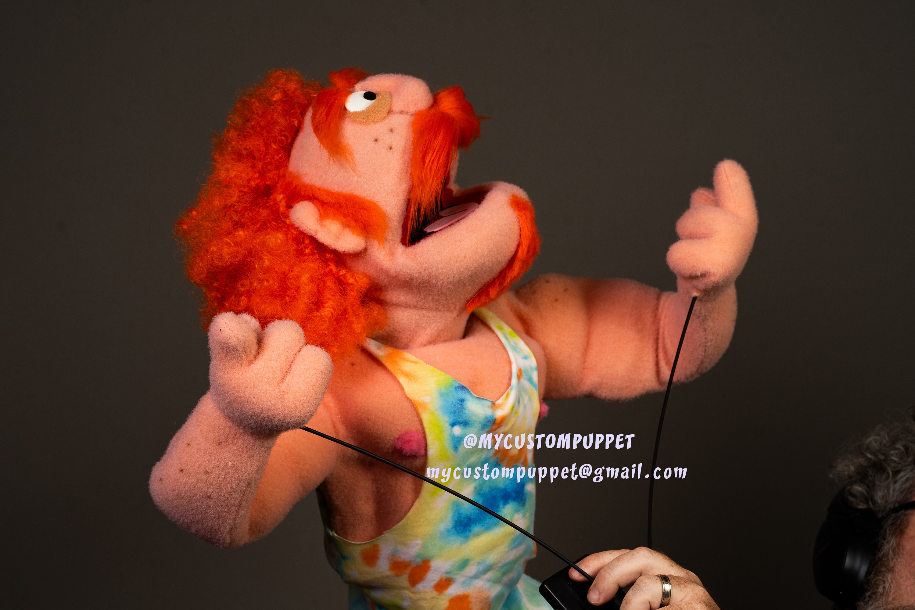 Custom Made Cartoon Character Puppet Custom Made Puppets Muppet ...