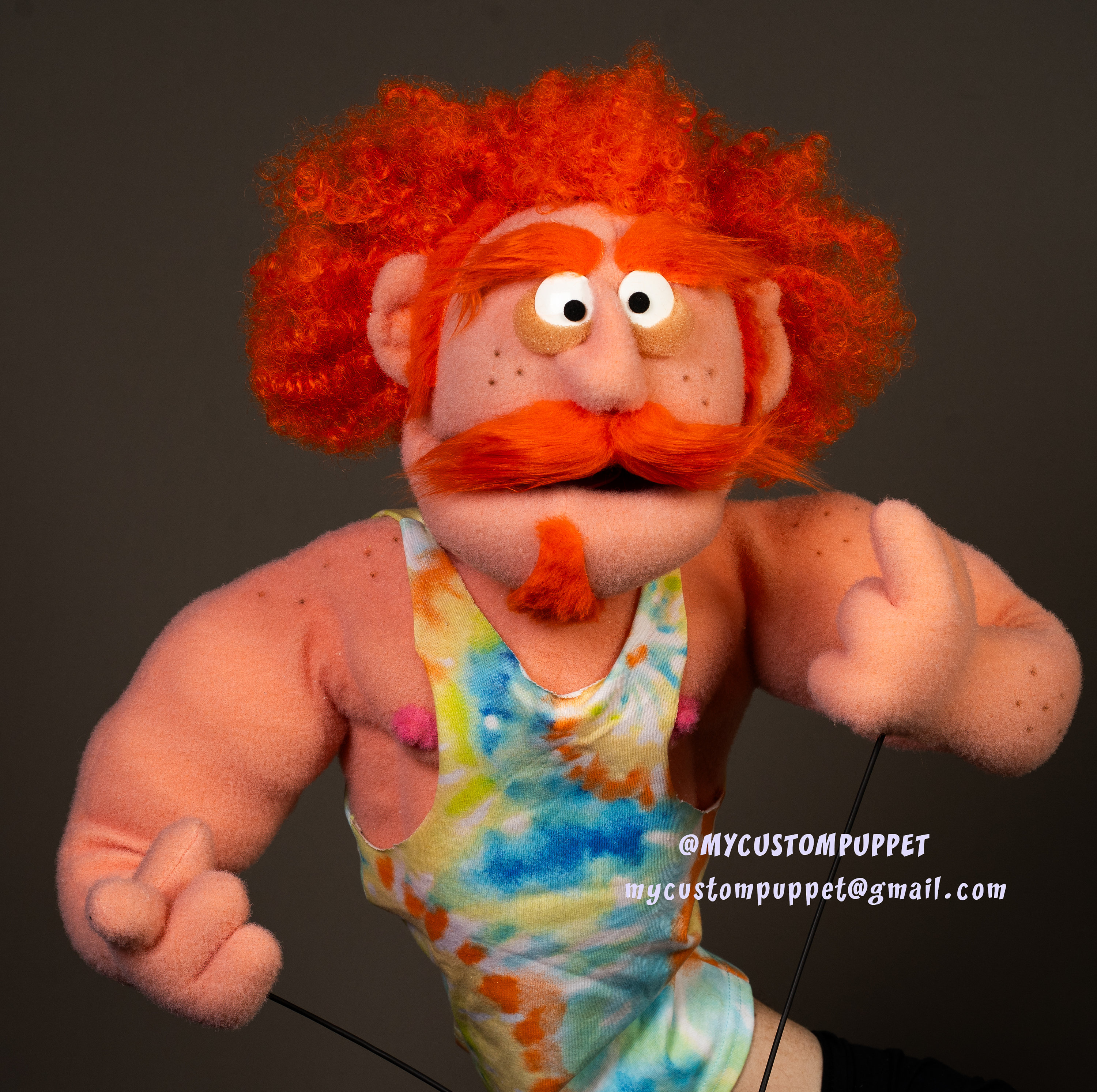 Custom Made Cartoon Character Puppet Custom Made Puppets Muppet ...