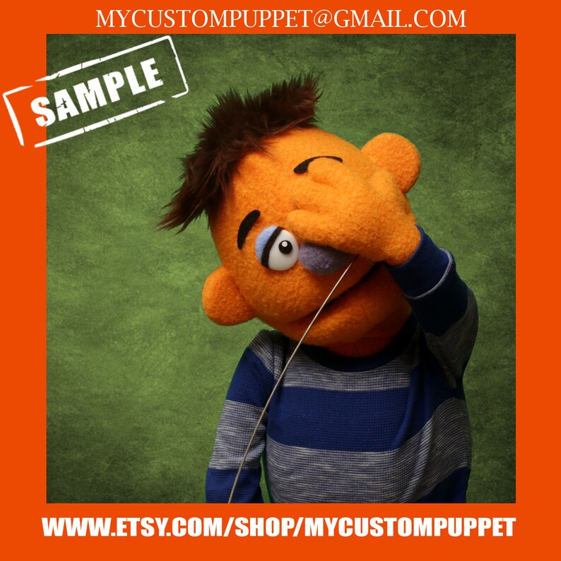 Custom Pro Puppet Makers Muppet Type Portrait - Etsy