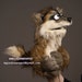 Custom Professional Animal Puppet Muppet, Wolf Puppet Custom Made ...