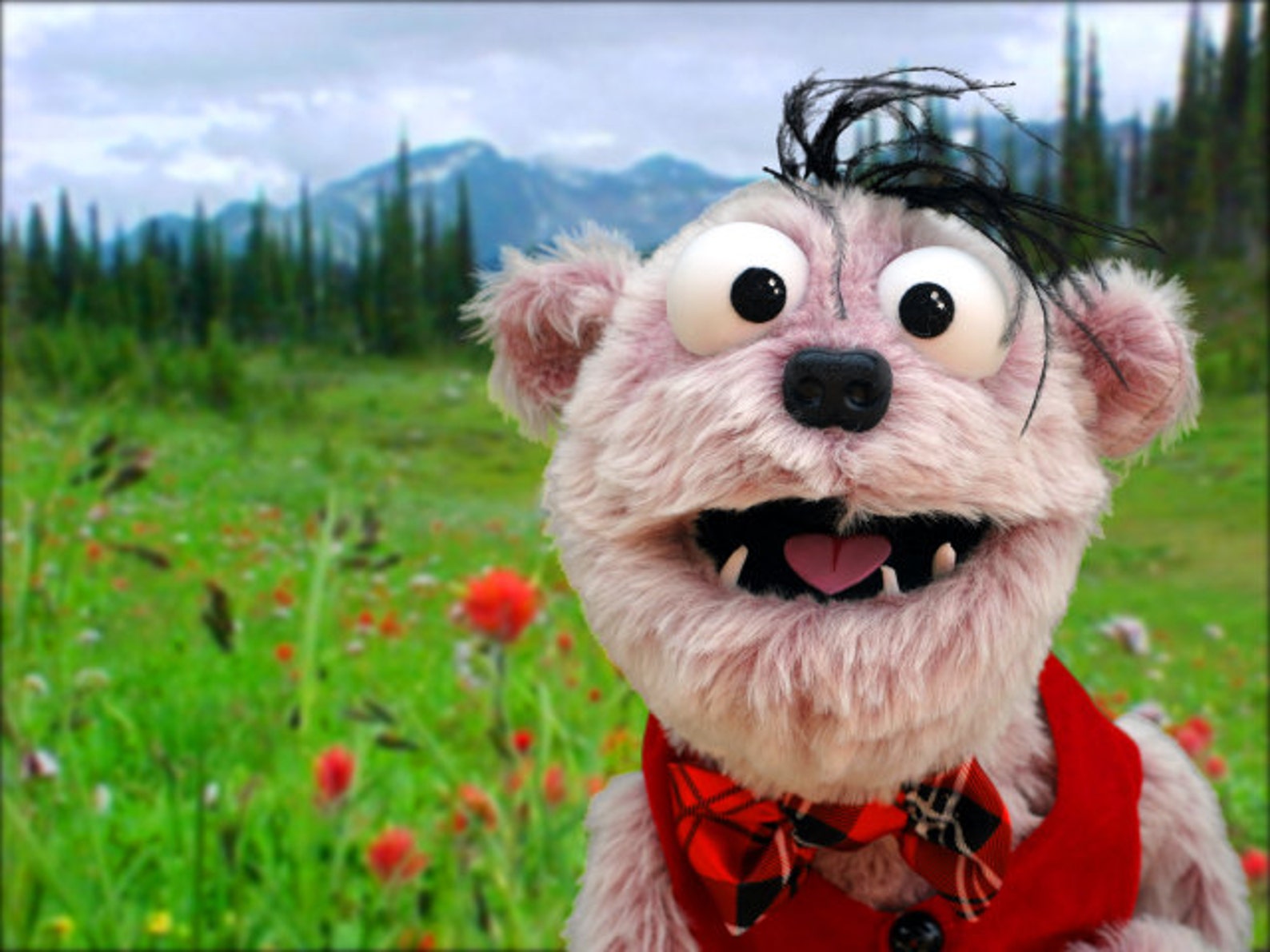 Custom 'muppet' Style Puppet - Etsy