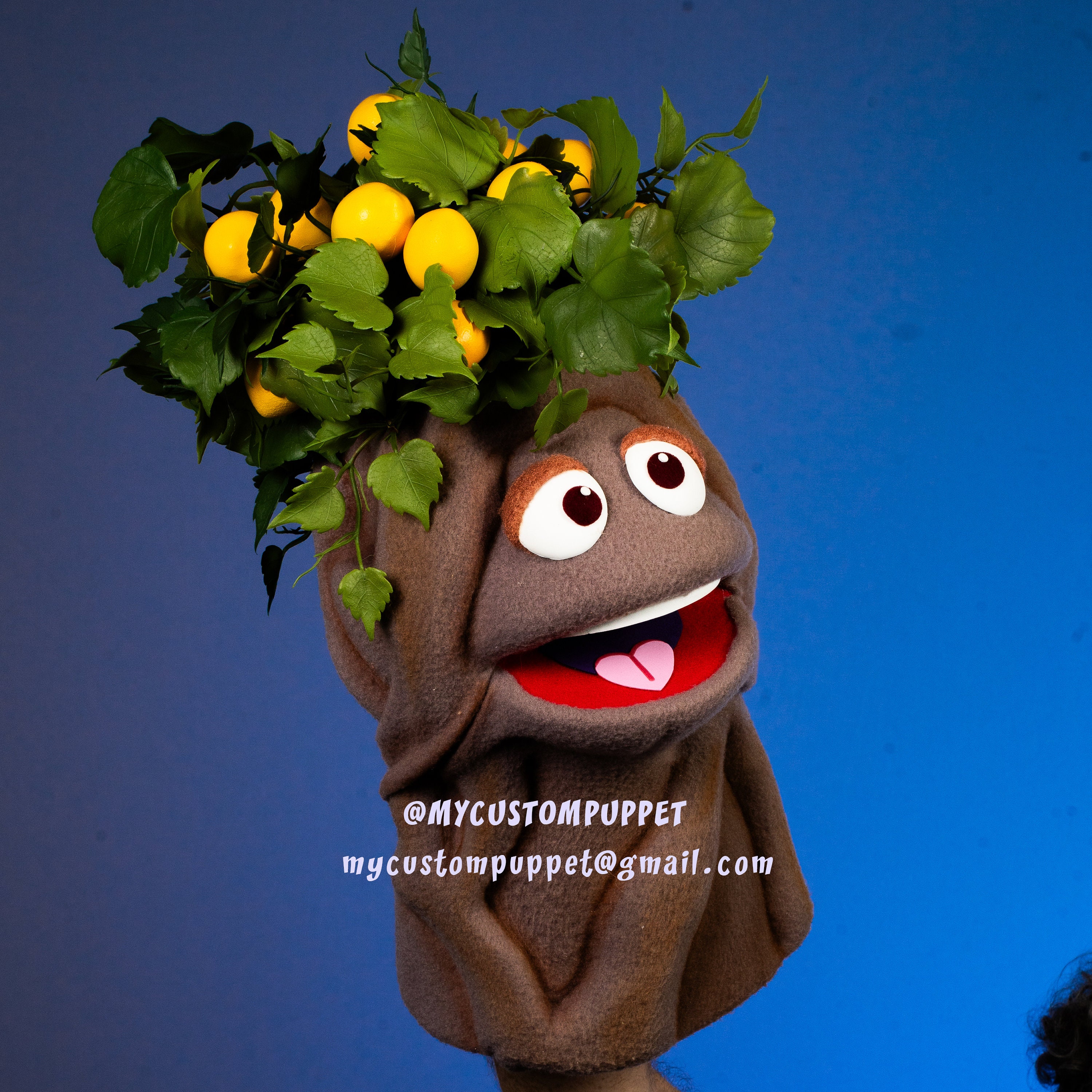 Custom Made Character Puppet , Puppets, Lemon Tree Puppet - Etsy UK