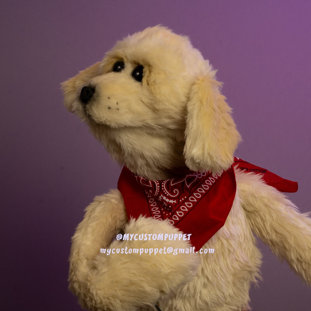 Custom Pet Portrait Professional Puppet Made to Order Based on Your ...