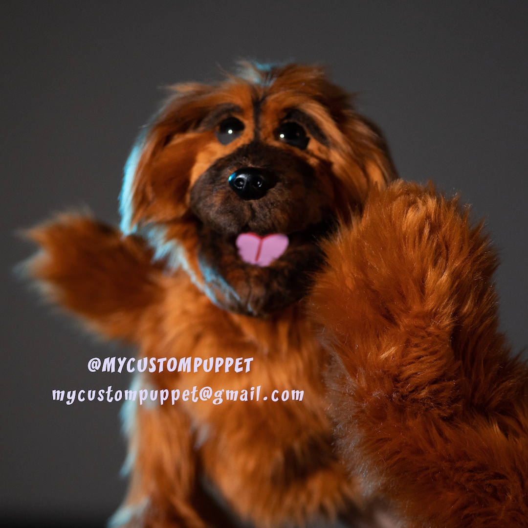 Custom Made Look PET Puppet Portrait Muppet Type Puppet Custom Made ...
