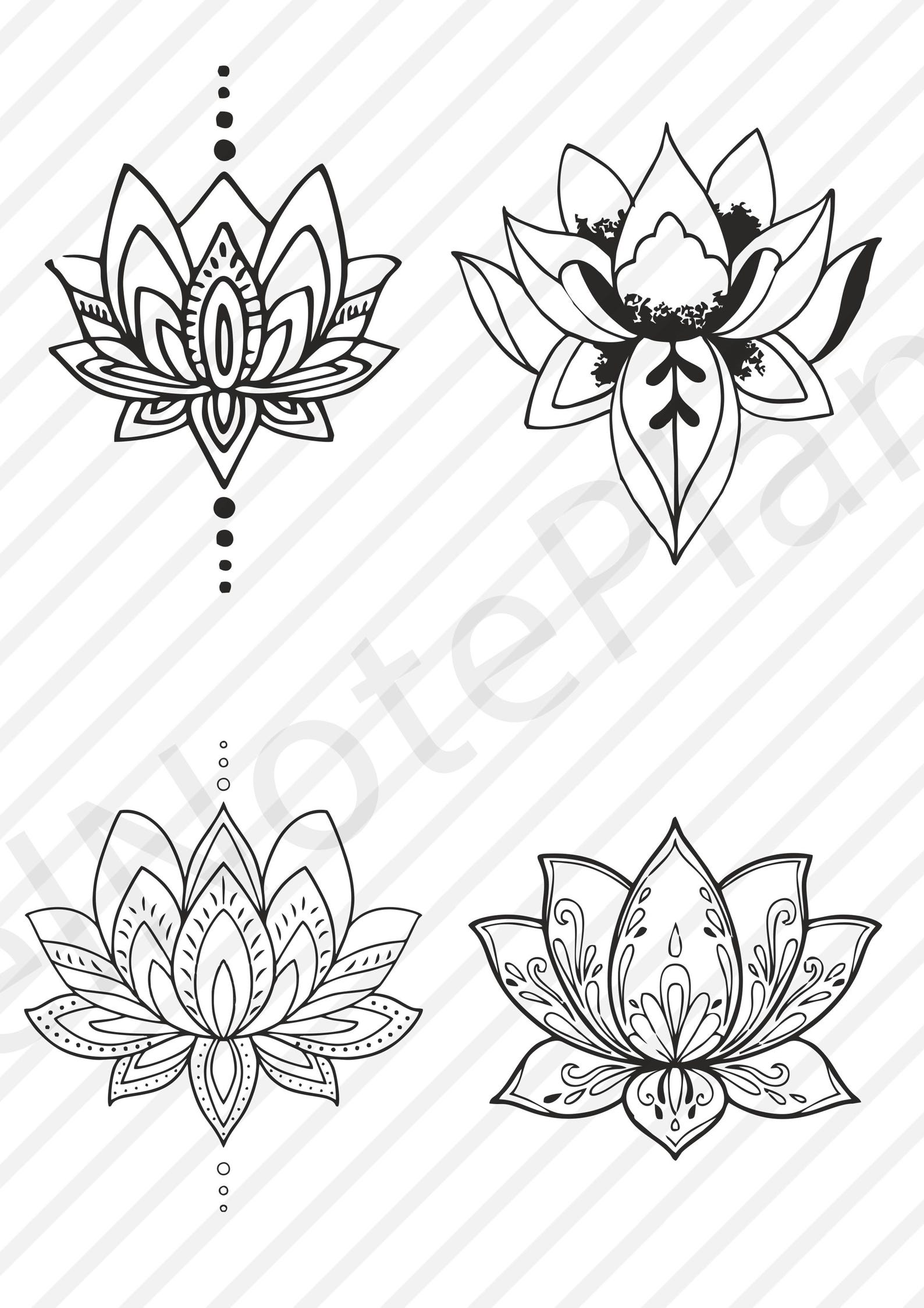 Lotus Print SVG Lotus Clipart SVG Bundle 8 Lotus Designs Nature Svg ...