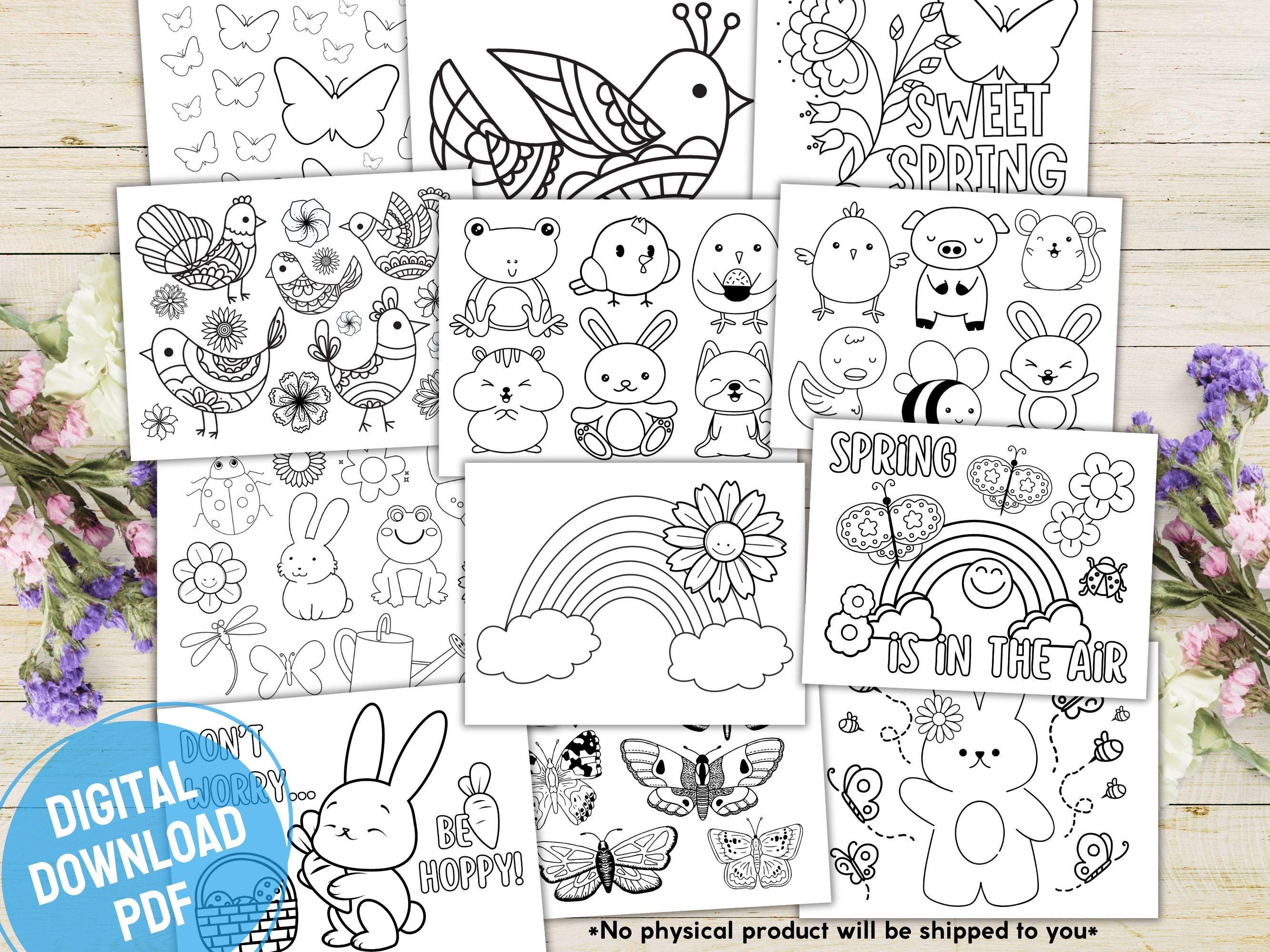 Spring Themed Printable Coloring Pages for Kids, Springtime Digital PDF ...