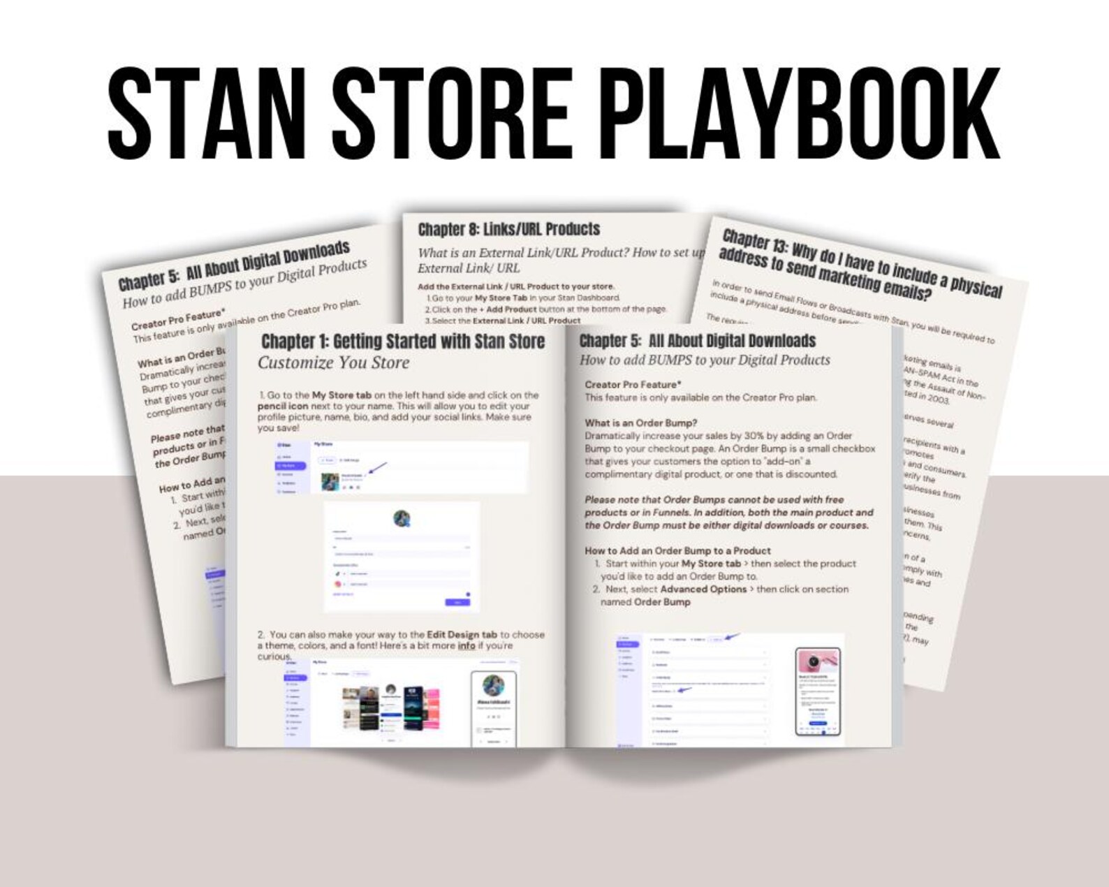 Ultimate Stan Store Playbook - Etsy
