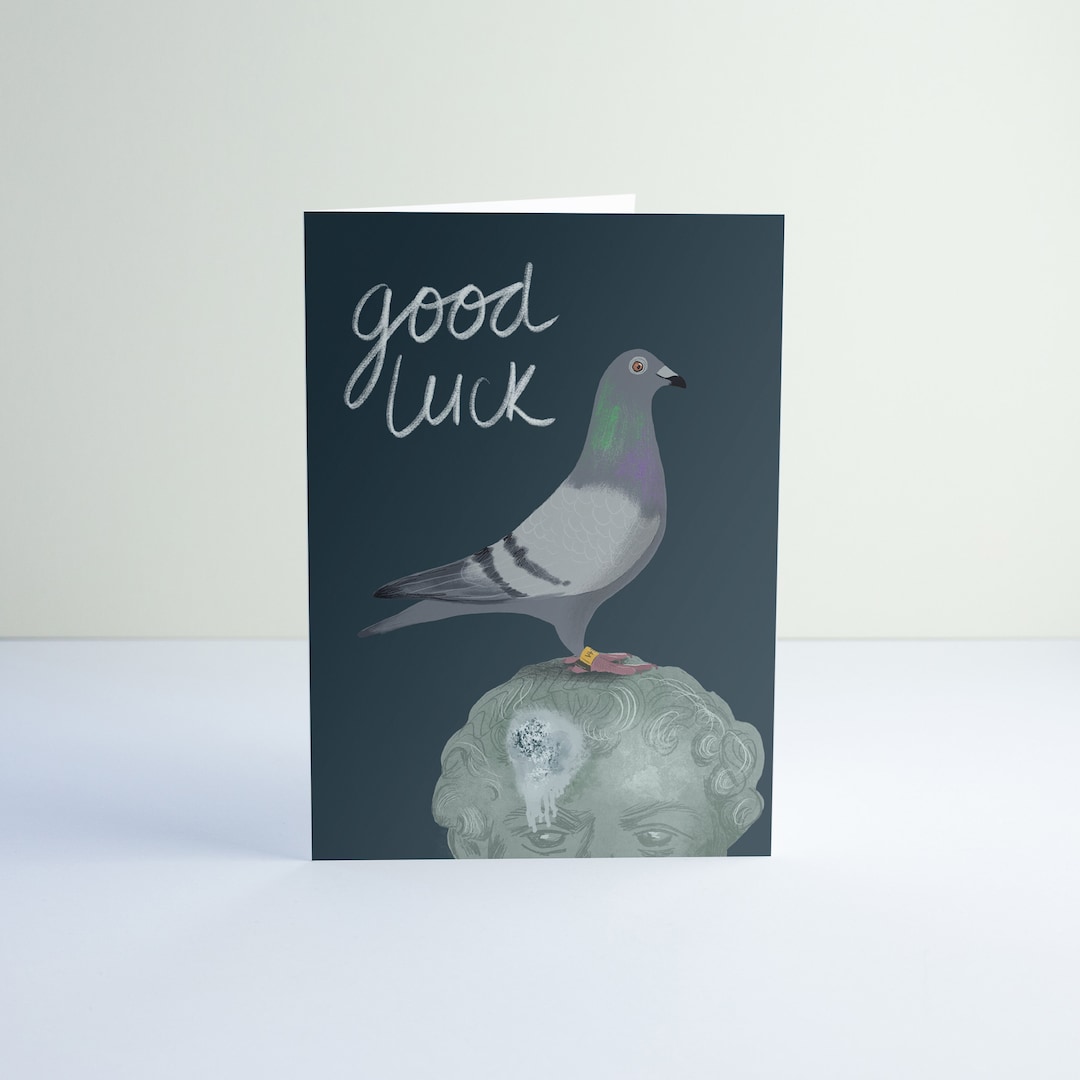 Pigeon Poop - Funny Good Luck Greetings Card - Etsy