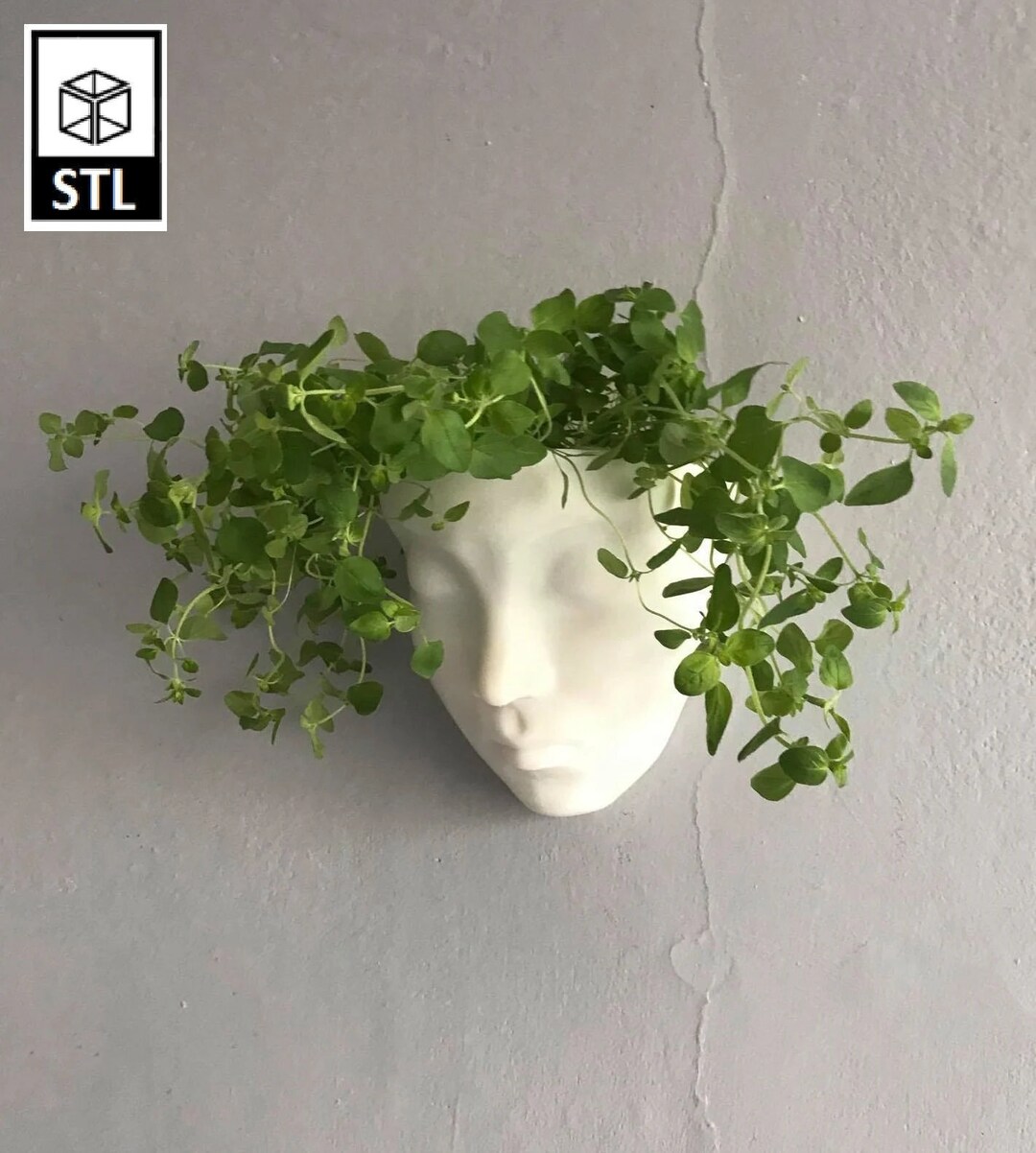 Woman Face Flower Pot Herbs and Spices Wall Hang DIY STL File Easy 3D ...