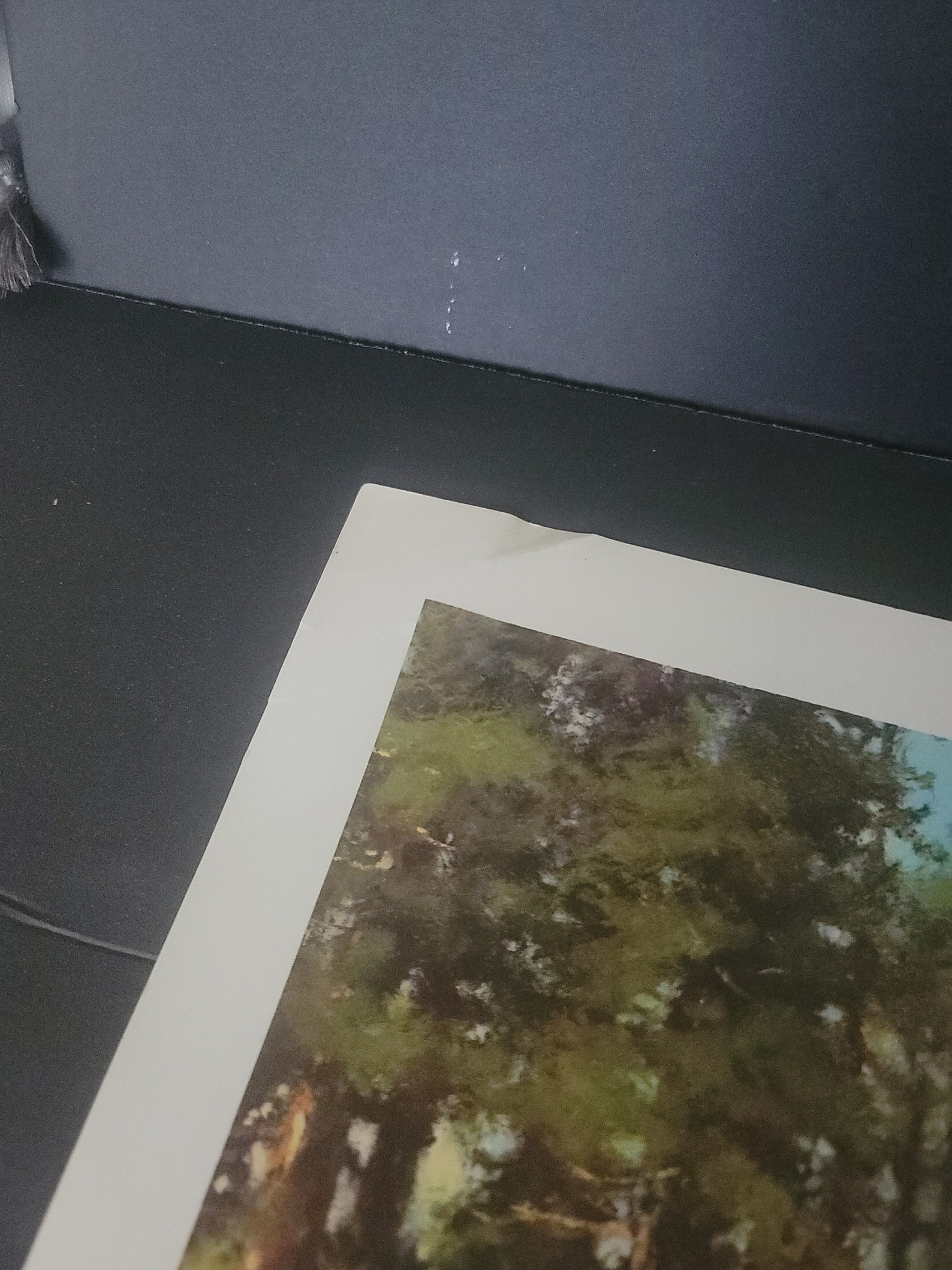 1950s Robert Wood Lithograph Majestic Peaks - Etsy