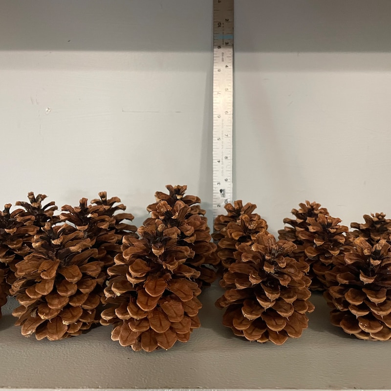 Pine Cone Tree Centerpiece - Etsy