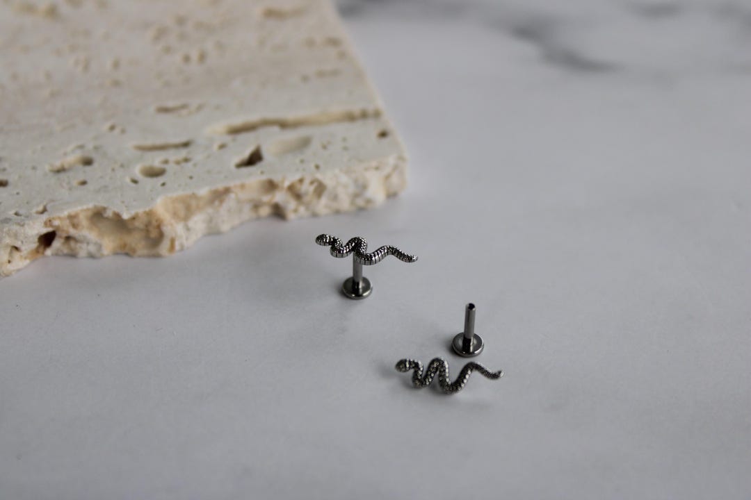 Snake Earrings, Flat Back Earrings: Waterproof Jewelry, Titanium Conch ...