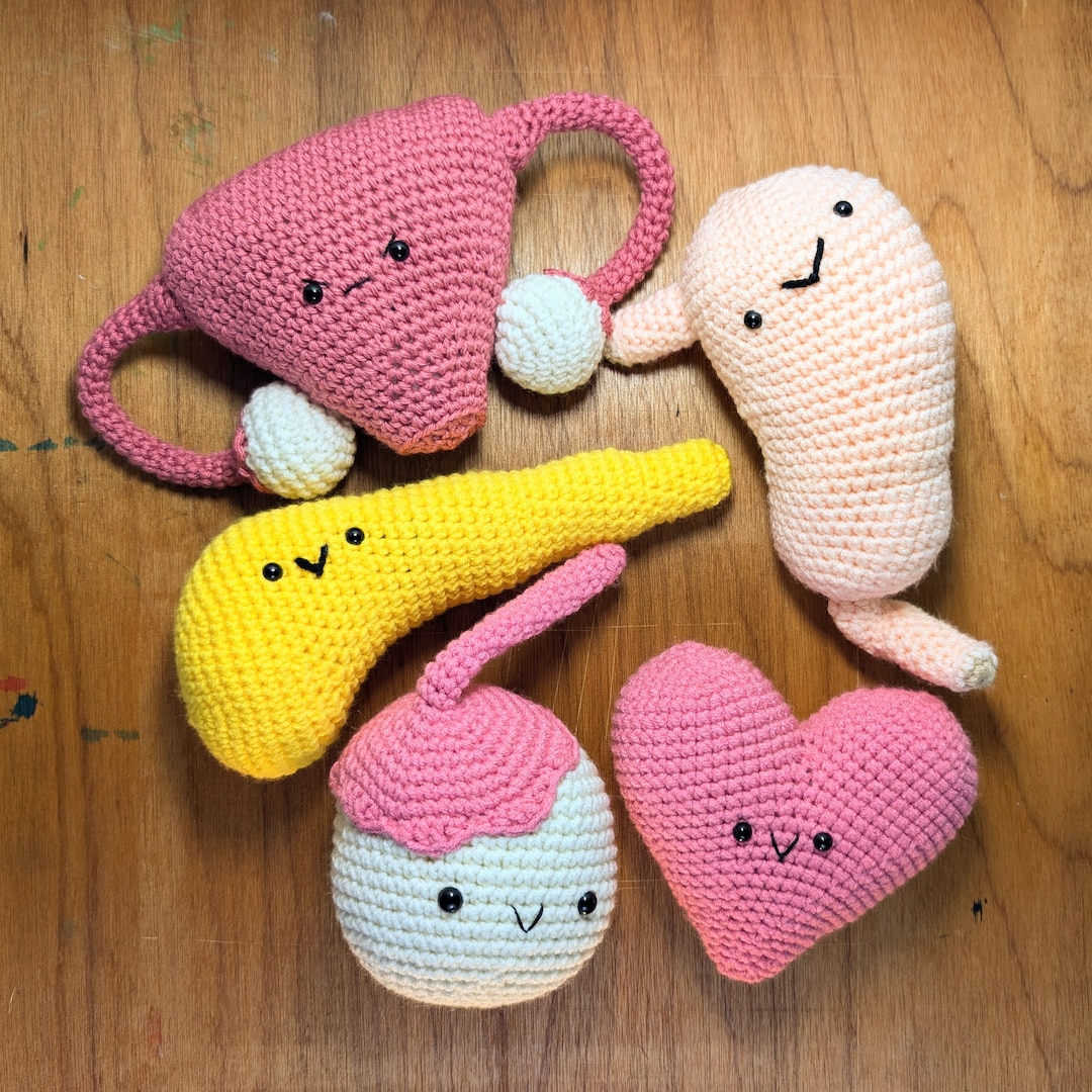 Handcrafted Crocheted and Stuffed Internal Organs Amigurumi - Etsy